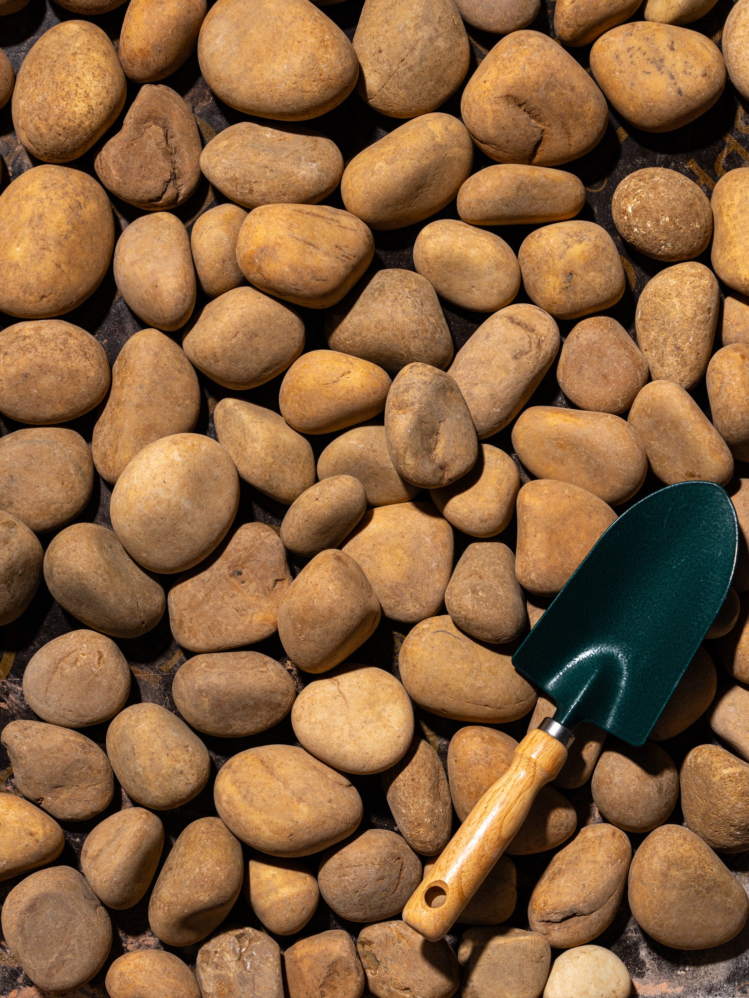 Yellow Pebbles | 20KG | Stones & Pebbles | growhub UAE