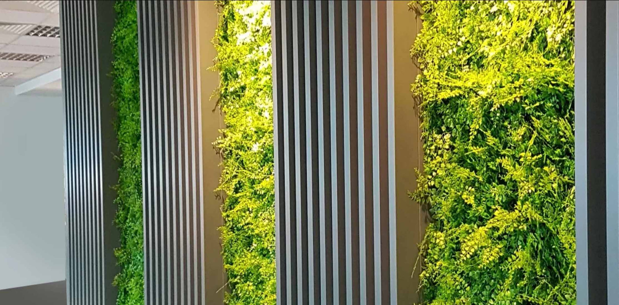 Vertical Green Walls