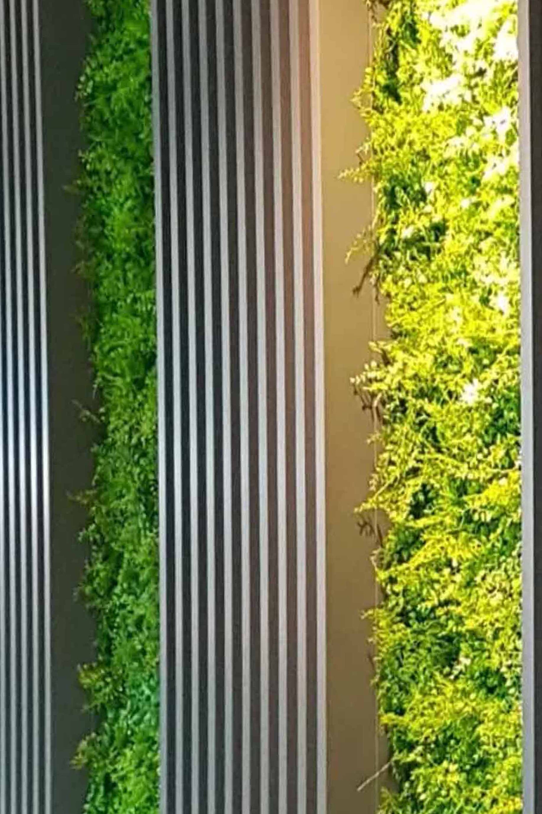 Vertical Green Walls