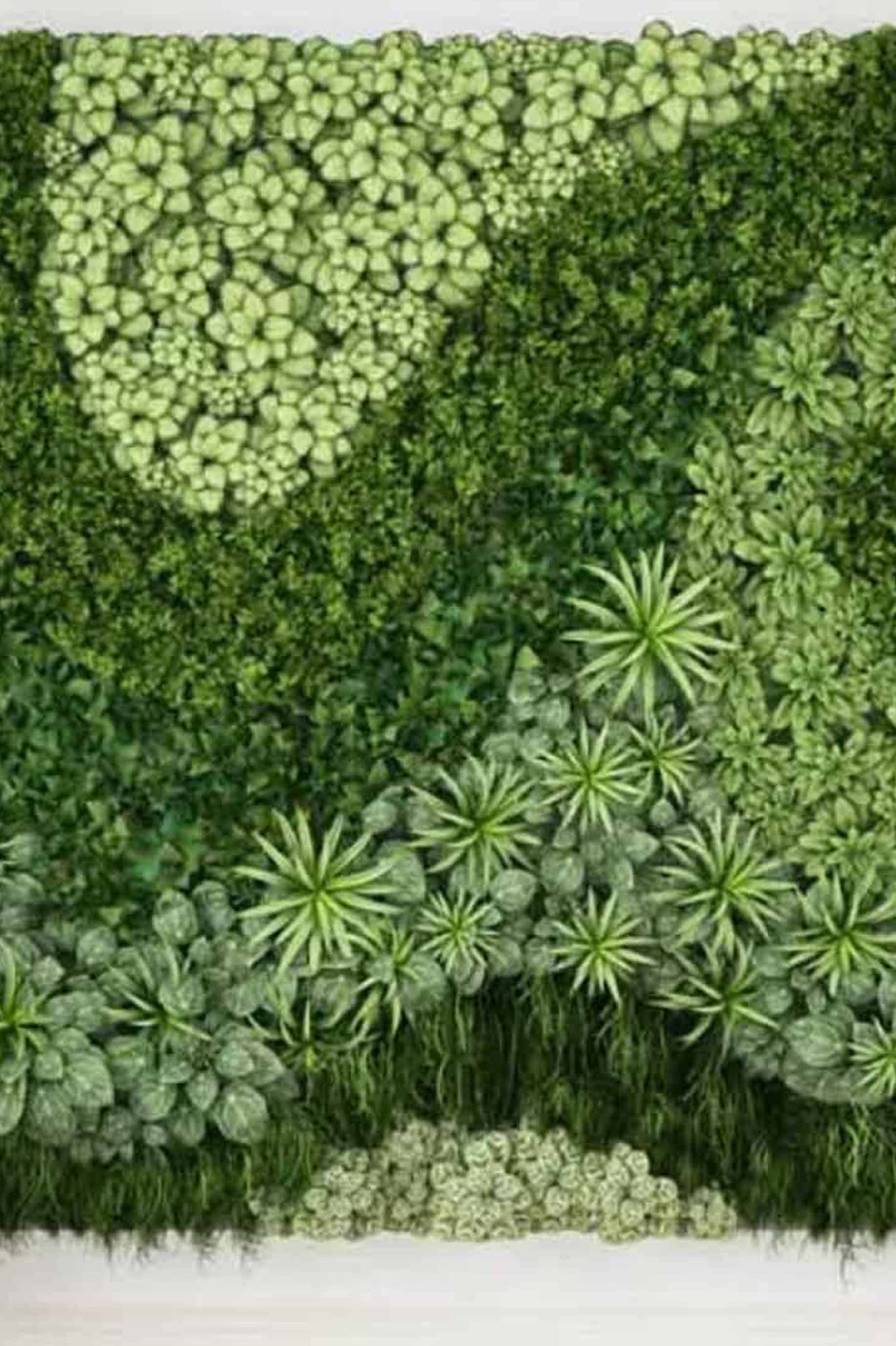 Vertical Green Walls