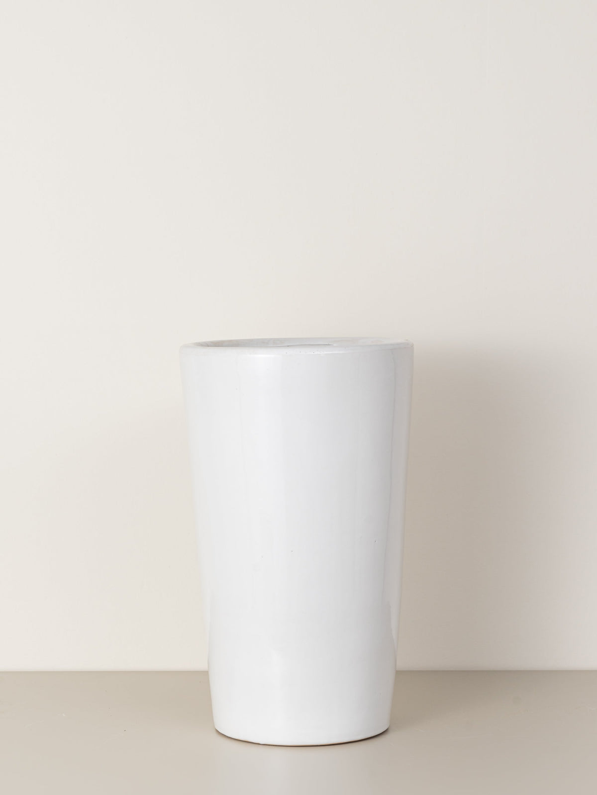 Ghaf Tree - Prosopis Cineraria | Trees - Outdoor Plants | growhub AE