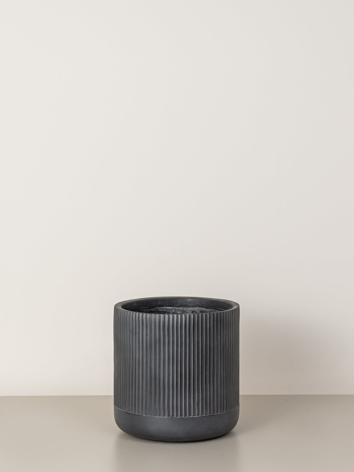 Red Machera - Radermachera Sinica | Tall Indoor Plants | growhub AE